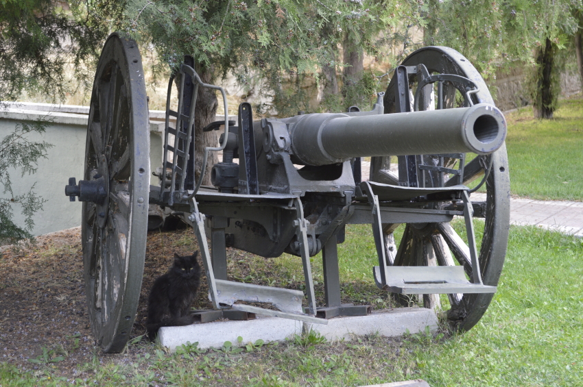 The industrialisation of war: lessons from World War I | SGR ...