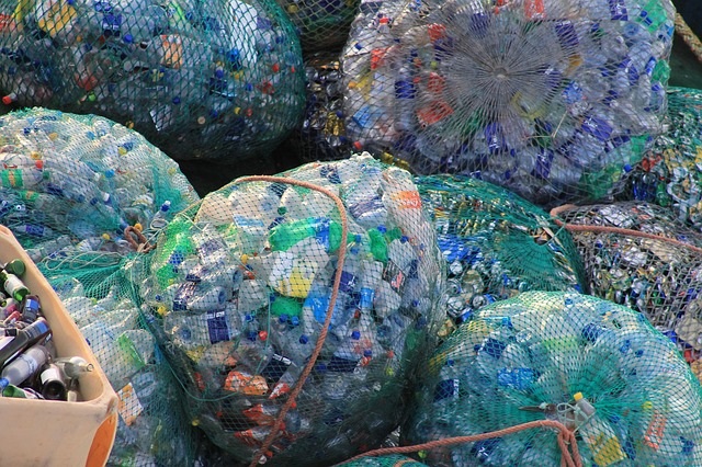 The psychology of cutting plastic pollution | SGR: Responsible Science